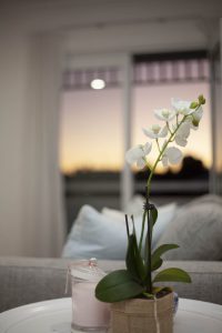 Welsh - Building Buddy